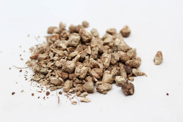 Stone Root – Mountain Spirit Herbal Co.